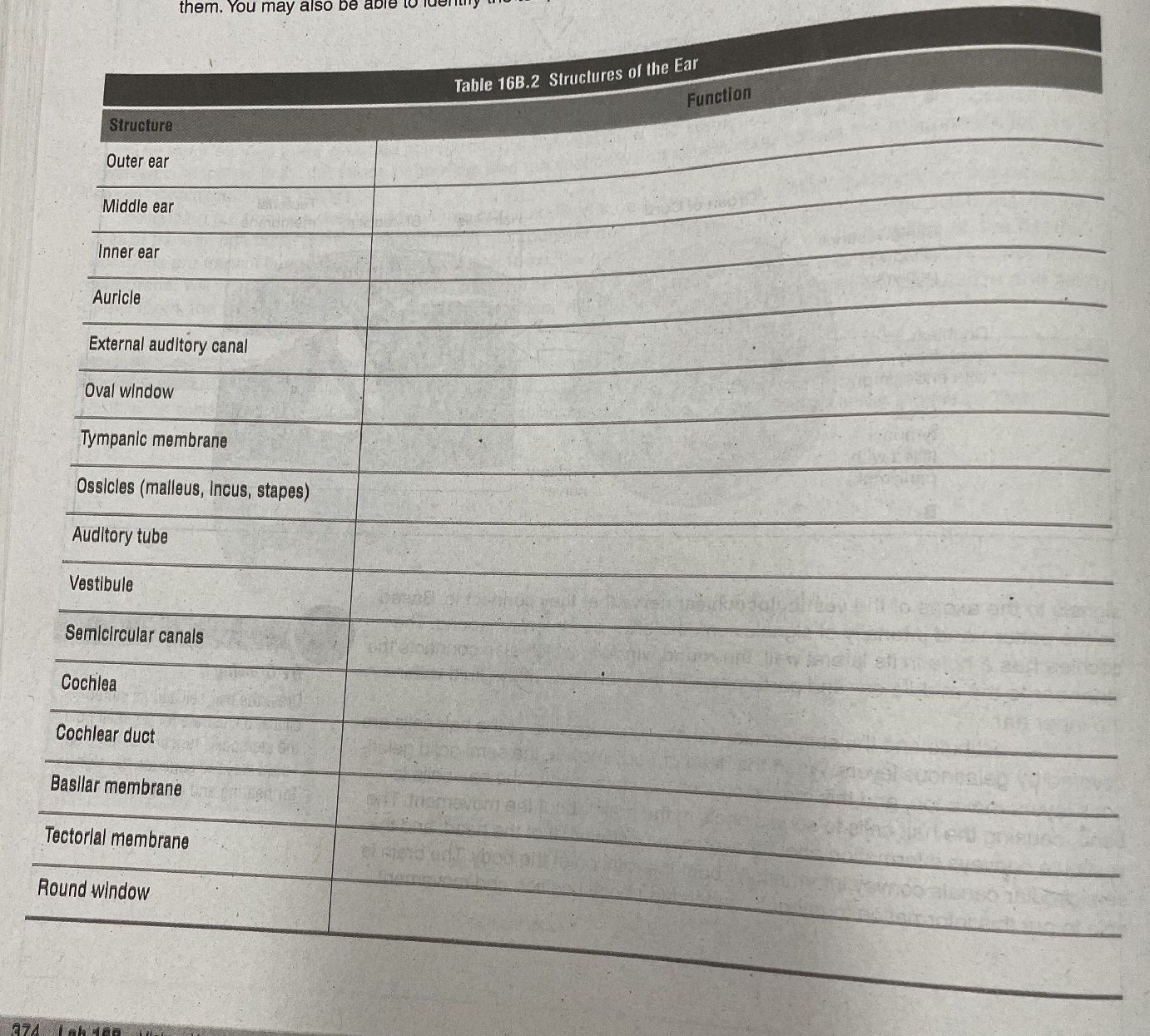 Table 16B.2 Structures of the Ear | | StudyX