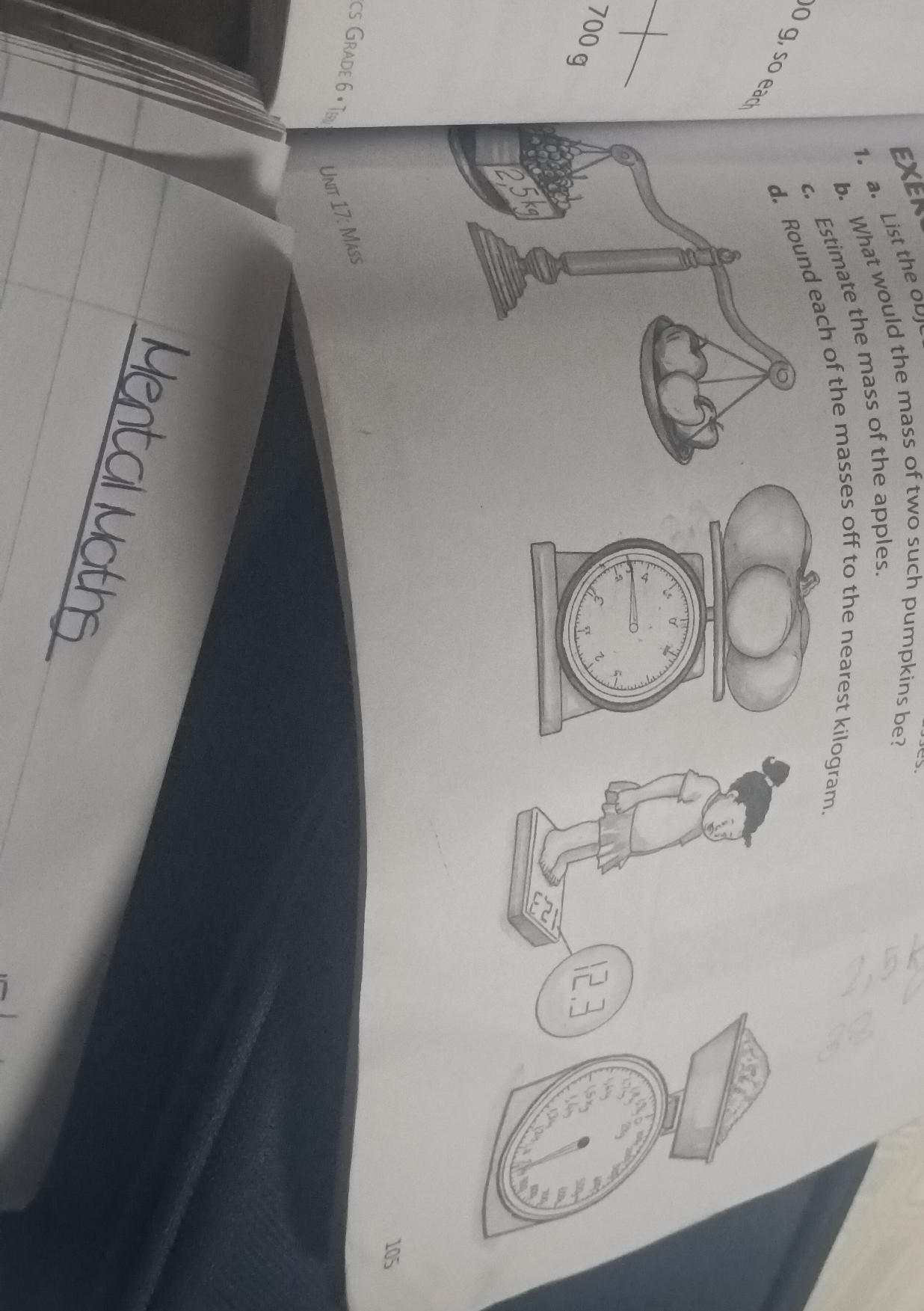 EXER 1. a. List the objects. (Image shows a | StudyX