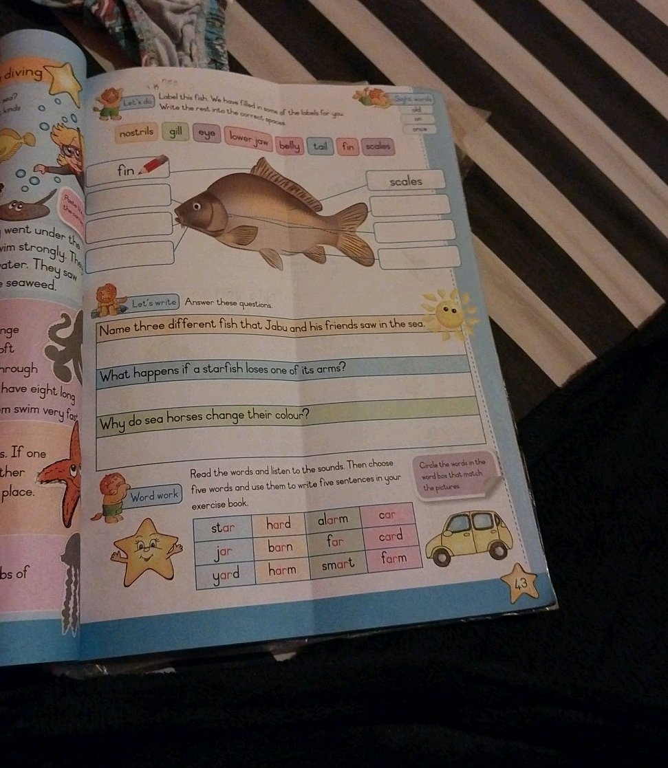 Word work Read the words and listen to the | StudyX