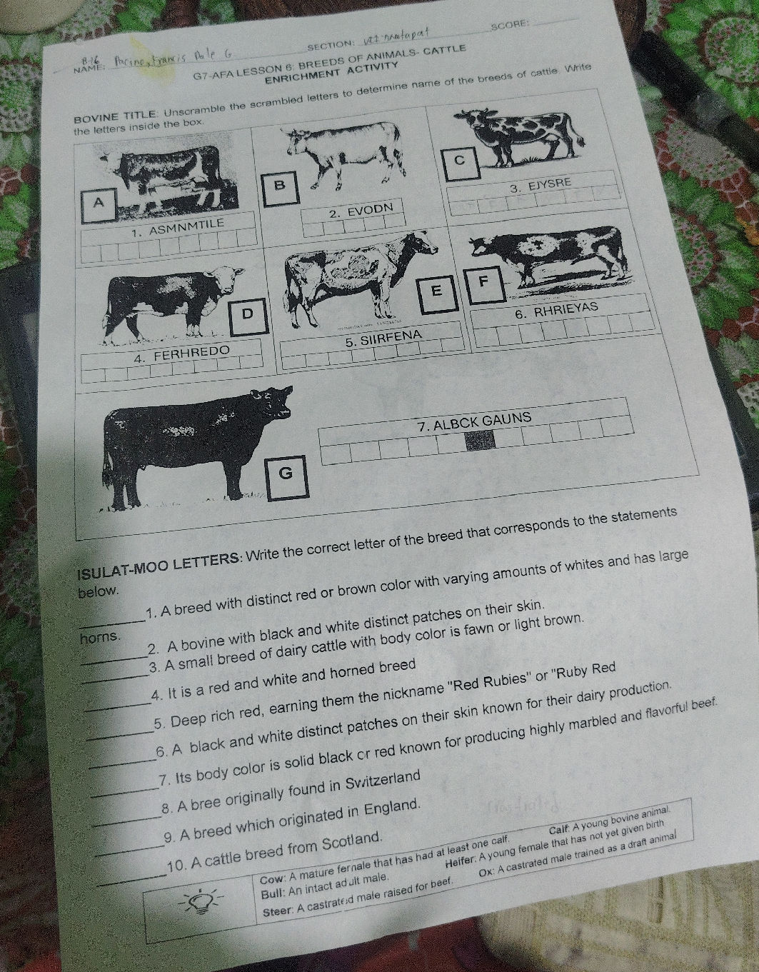BOVINE TITLE: Unscramble the scrambled | StudyX