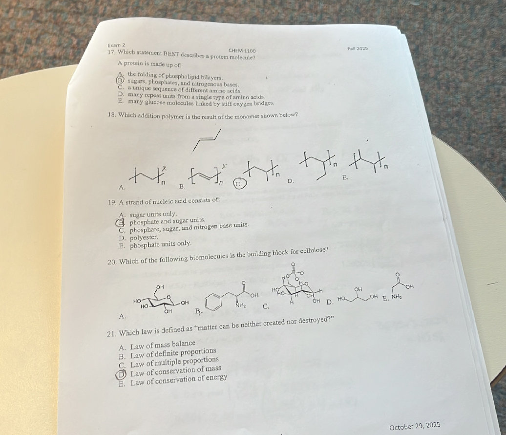 19. A strand of nucleic acid consists of: | StudyX