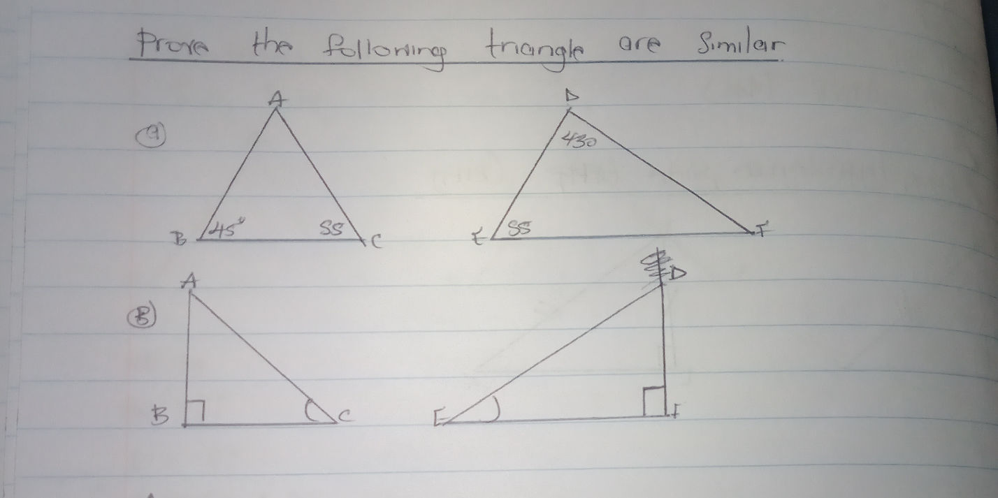 Prove the following triangle are similar | StudyX