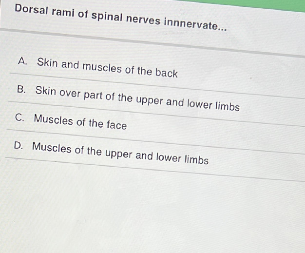Dorsal rami of spinal nerves innervate... | StudyX