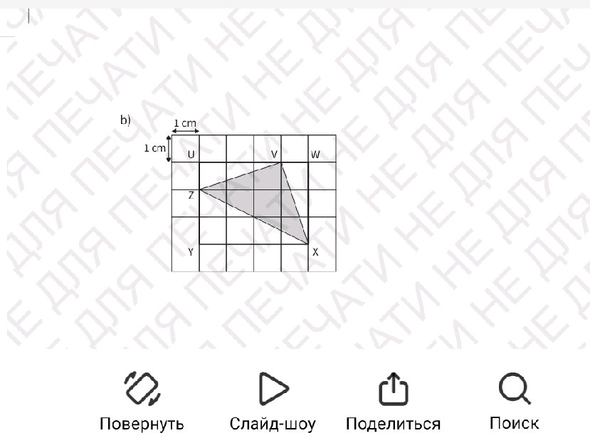 b) [Image of a shaded triangle on a 4x4 | StudyX