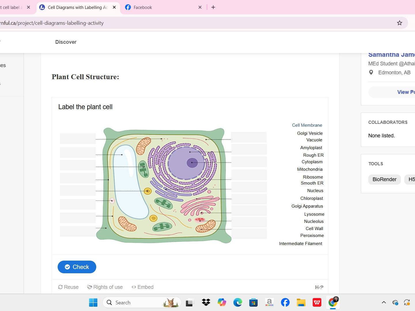 Plant Cell Structure: Label the plant cell | StudyX