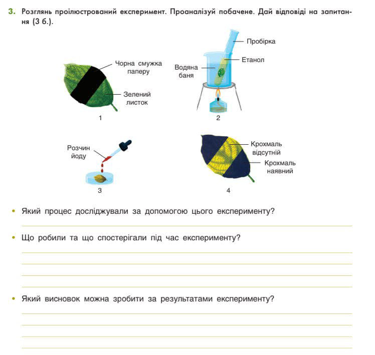 Розглянь проілюстрований експеримент.