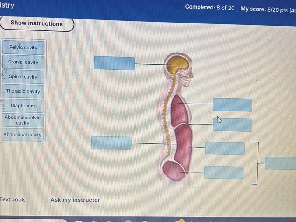 Show instructions Pelvic cavity Cranial | StudyX