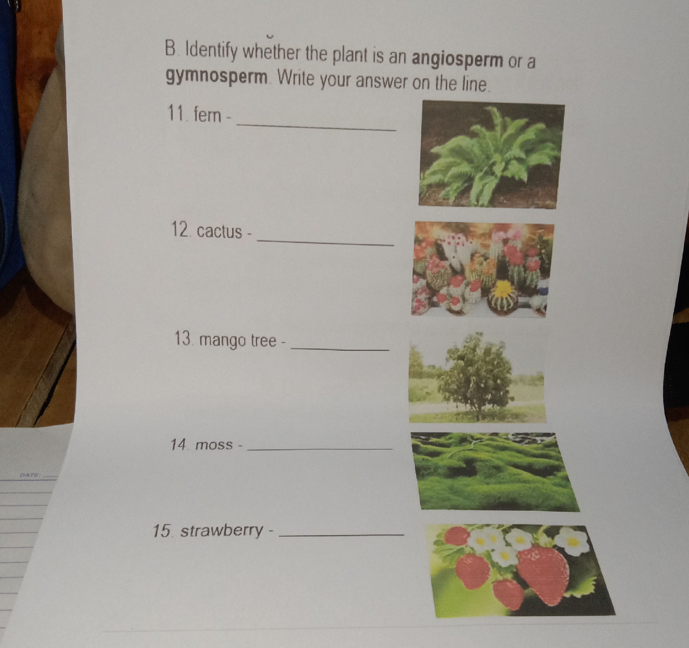 B. Identify whether the plant is an | StudyX