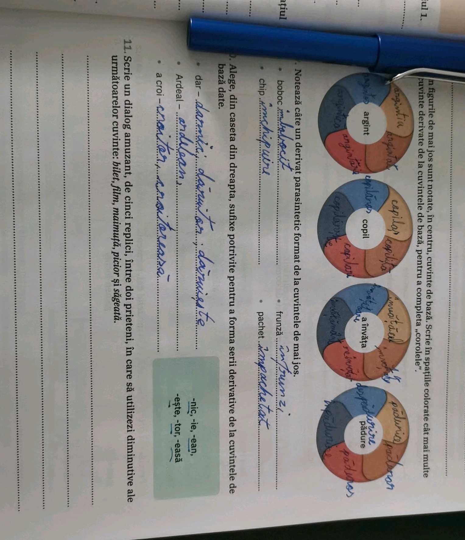 In figurile de mai jos sunt notate, în | StudyX