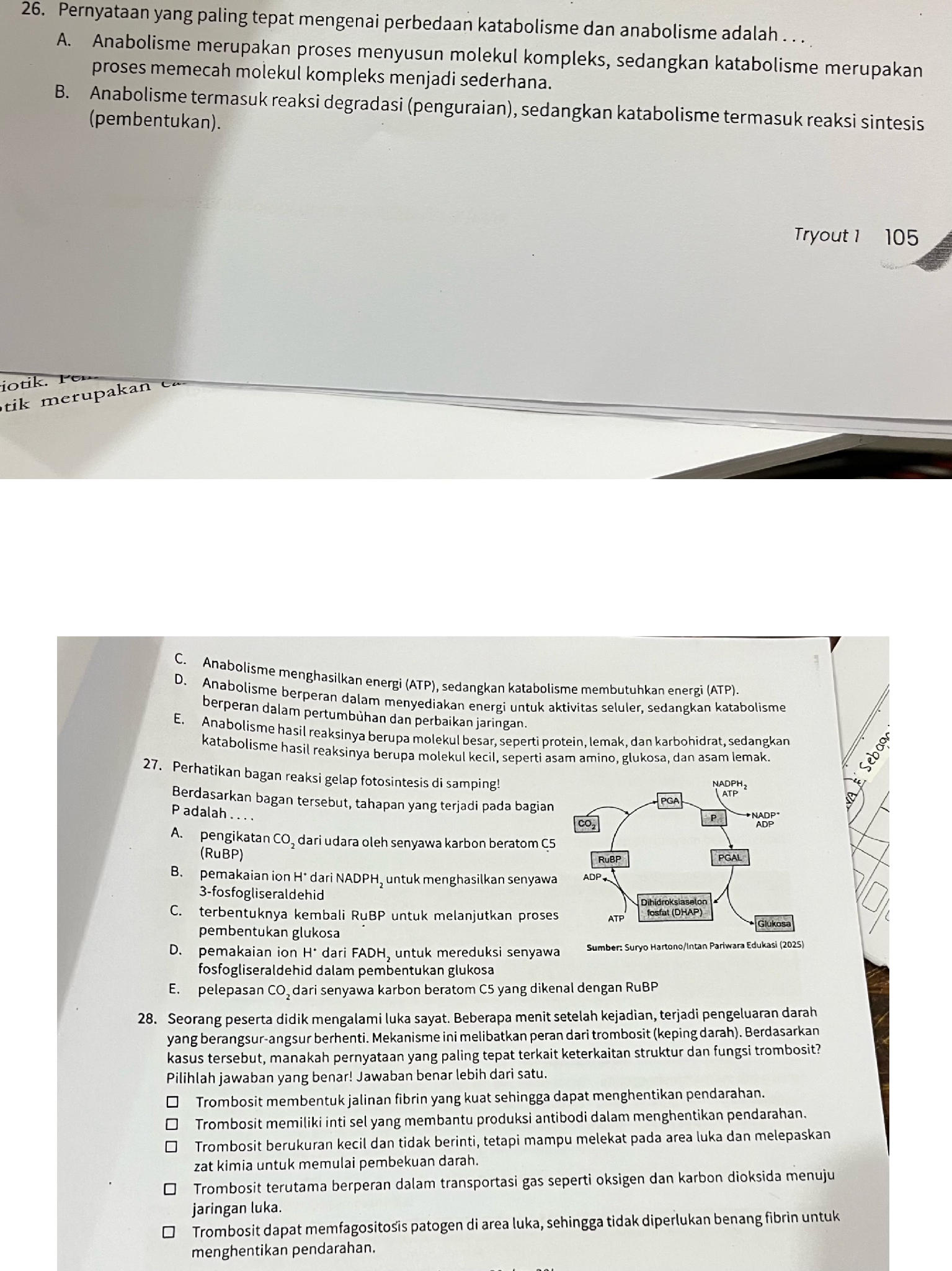 26. Pernyataan yang paling tepat mengenai | StudyX