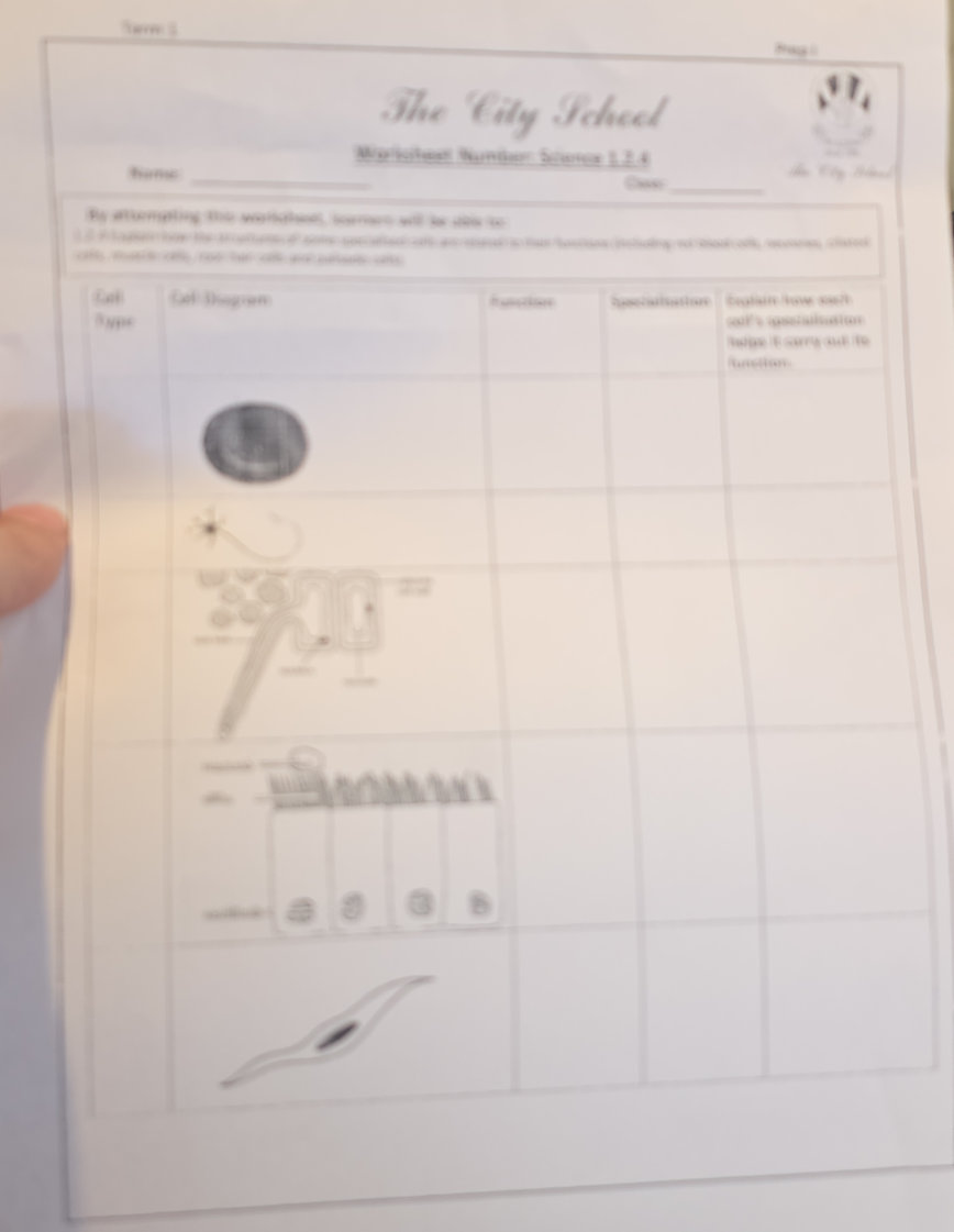 By attempting this worksheet, learners will | StudyX