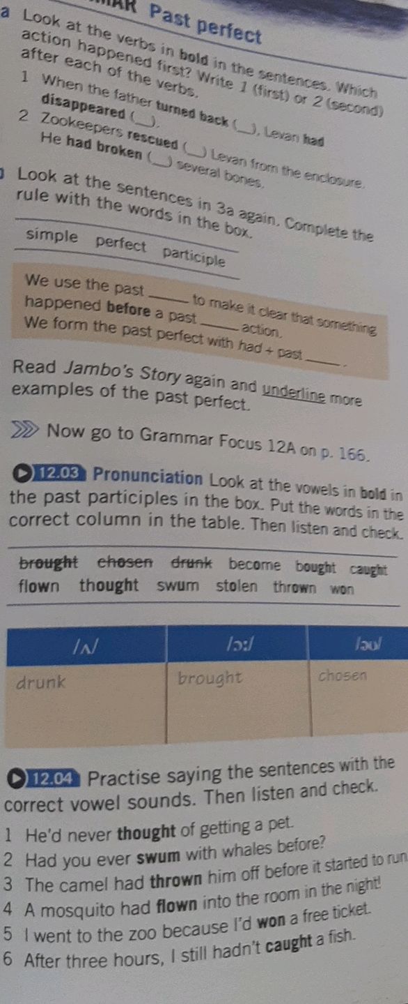 Look at the verbs in bold in the sentences. | StudyX