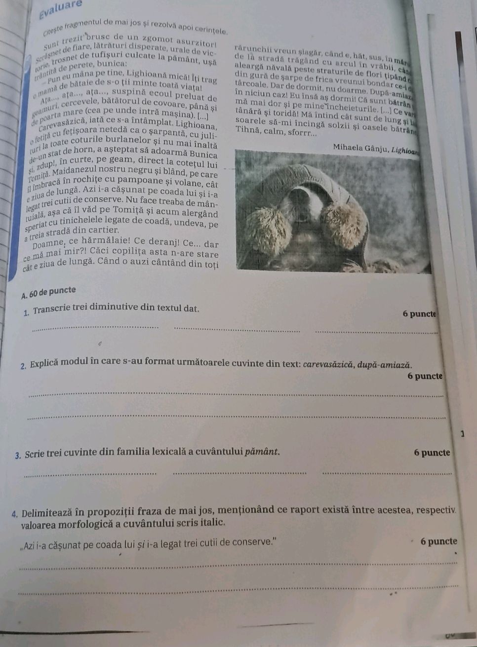 1. Transcrie trei diminutive din textul dat. | StudyX