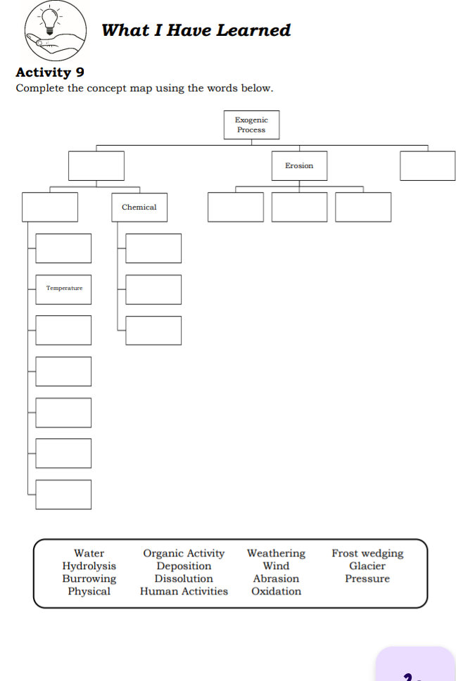 Activity 9 Complete the concept map using | StudyX