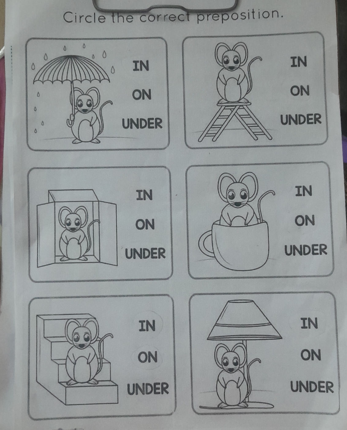 Circle the correct preposition. IN ON UNDER | StudyX