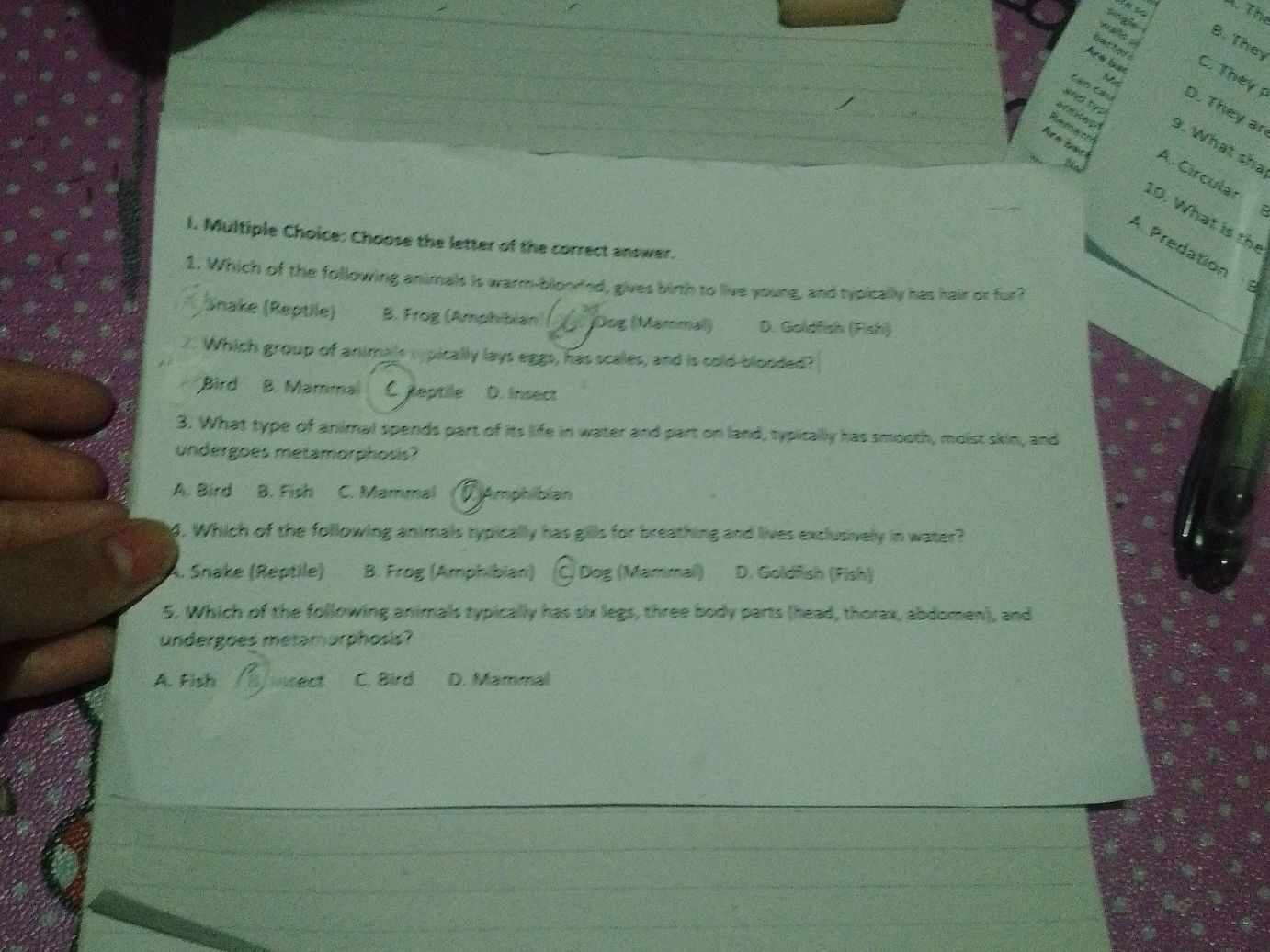1. Multiple Choice: Choose the letter of the | StudyX