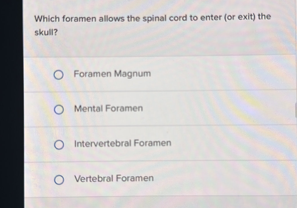 Which foramen allows the spinal cord to | StudyX