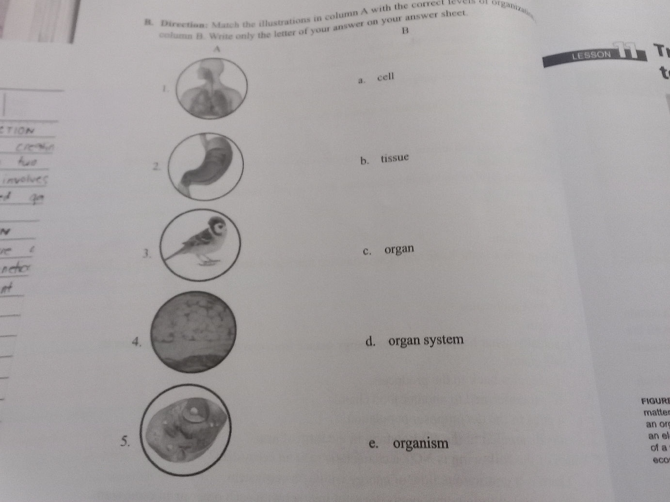 B. Direction: Match the illustrations in | StudyX