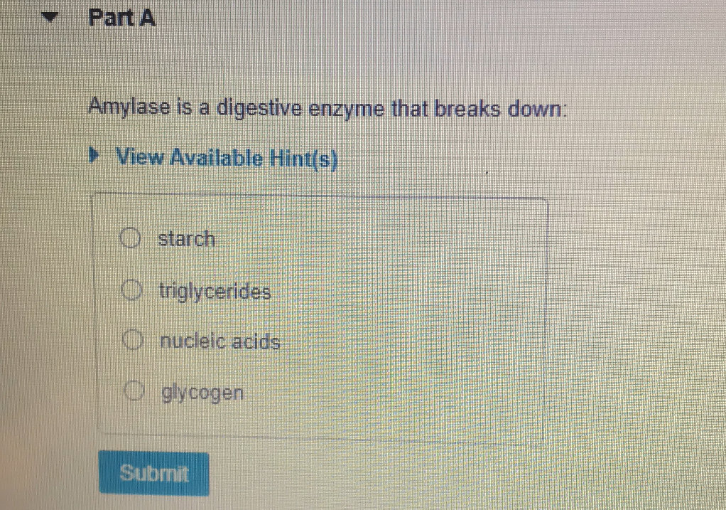 Amylase is a digestive enzyme that breaks | StudyX