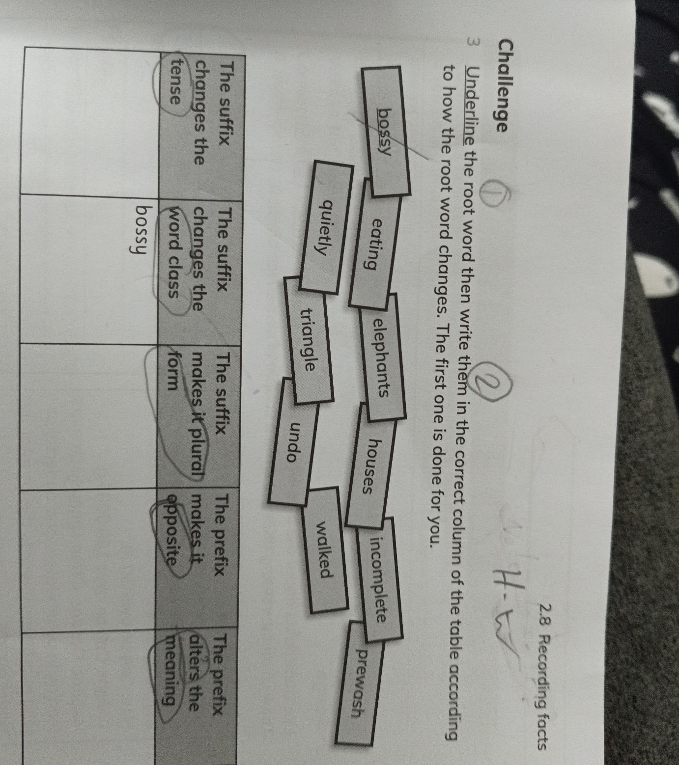 Underline the root word then write them in | StudyX