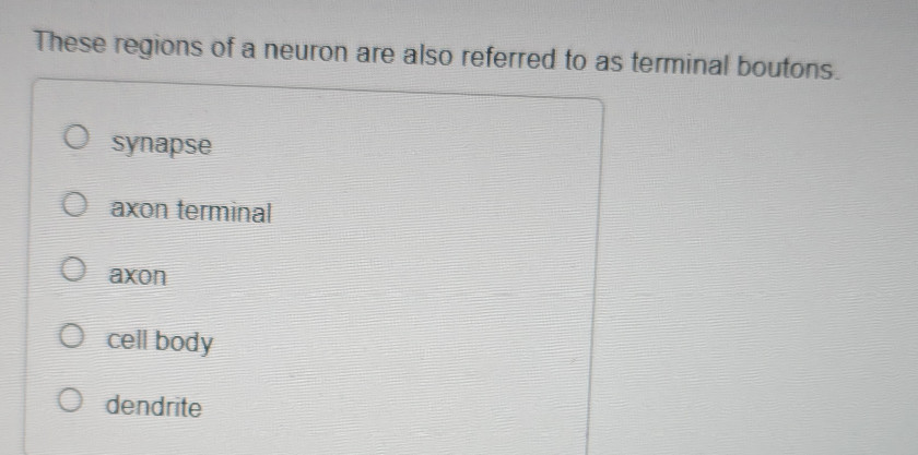 These regions of a neuron are also referred | StudyX