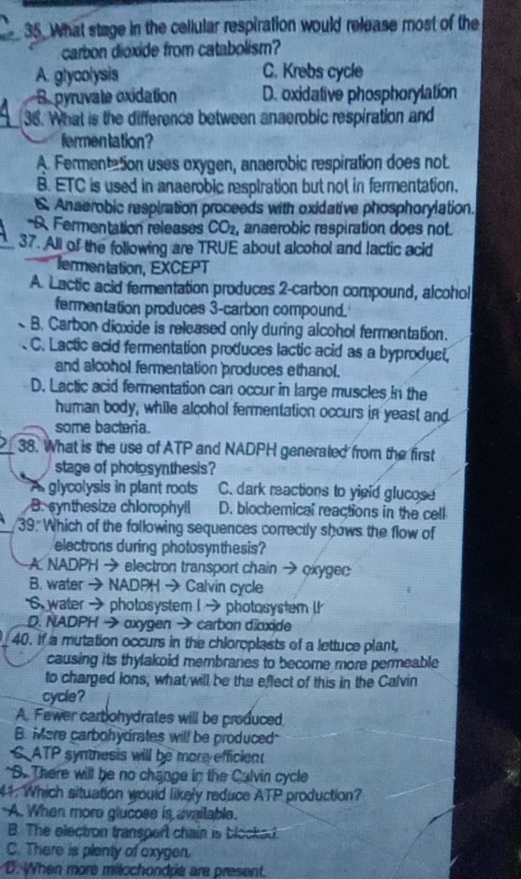35. What stage in the cellular respiration | StudyX