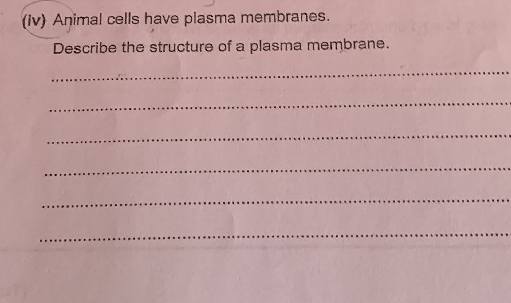 (iv) Animal cells have plasma membranes. | StudyX