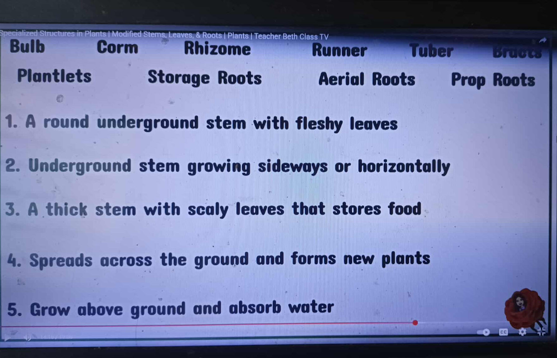 Specialized Structures in Plants | Modified | StudyX