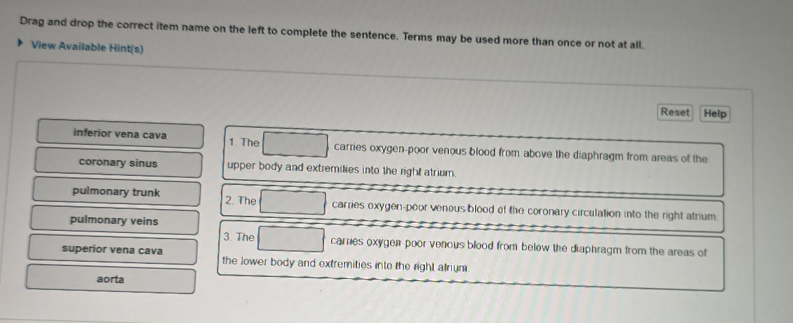 Drag and drop the correct item name on the | StudyX