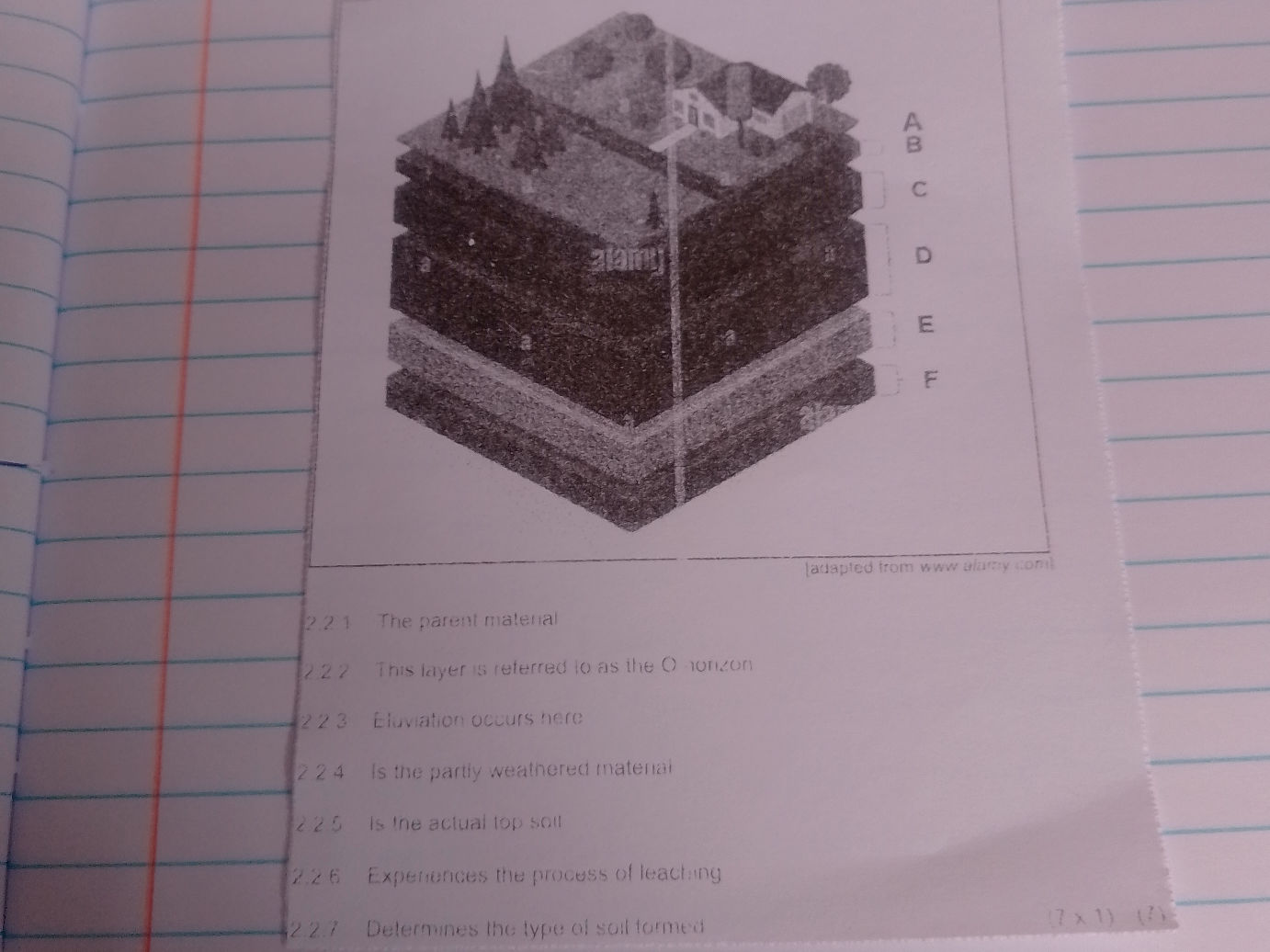 The image displays a cross-section of soil | StudyX