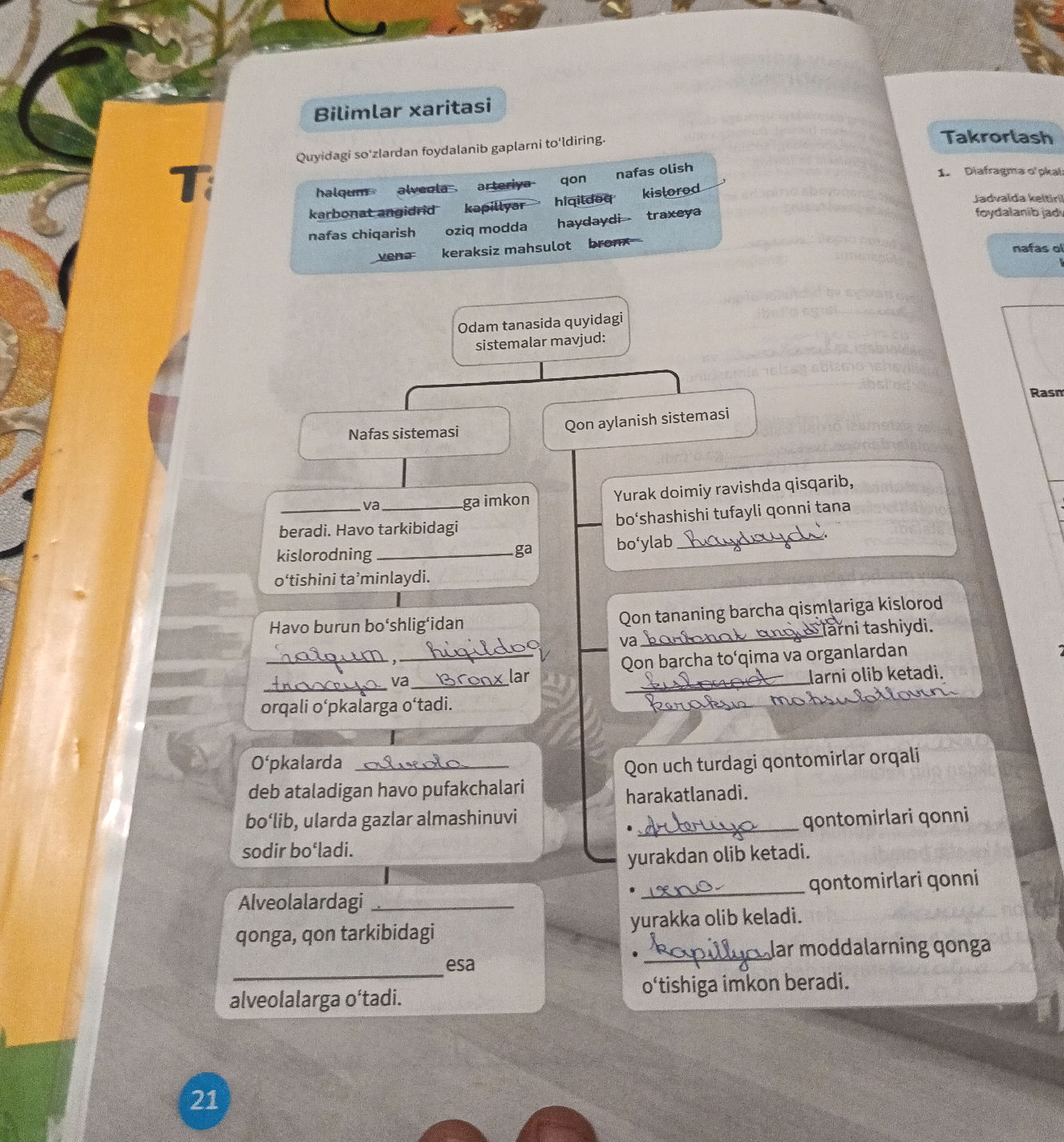 Bilimlar xaritasi Quyidagi so'zlardan | StudyX