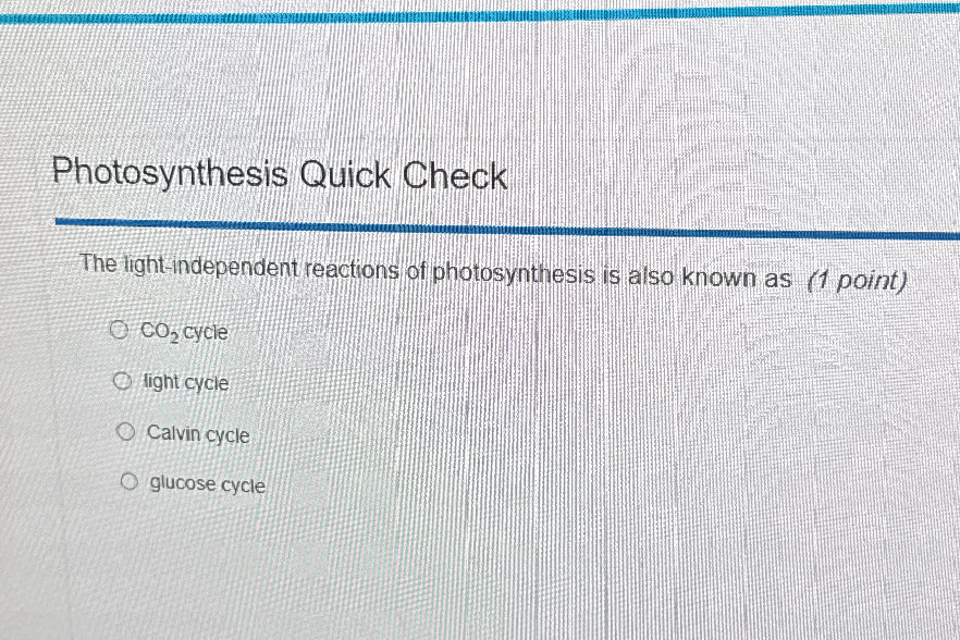 The light-independent reactions of | StudyX