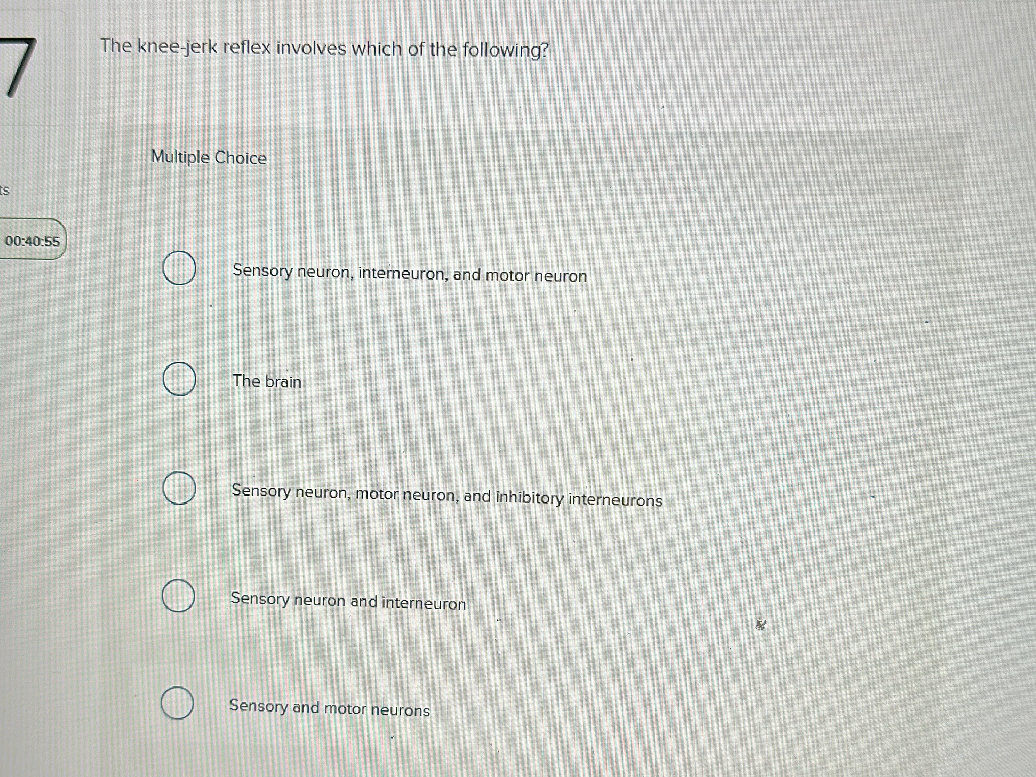 The knee-jerk reflex involves which of the | StudyX