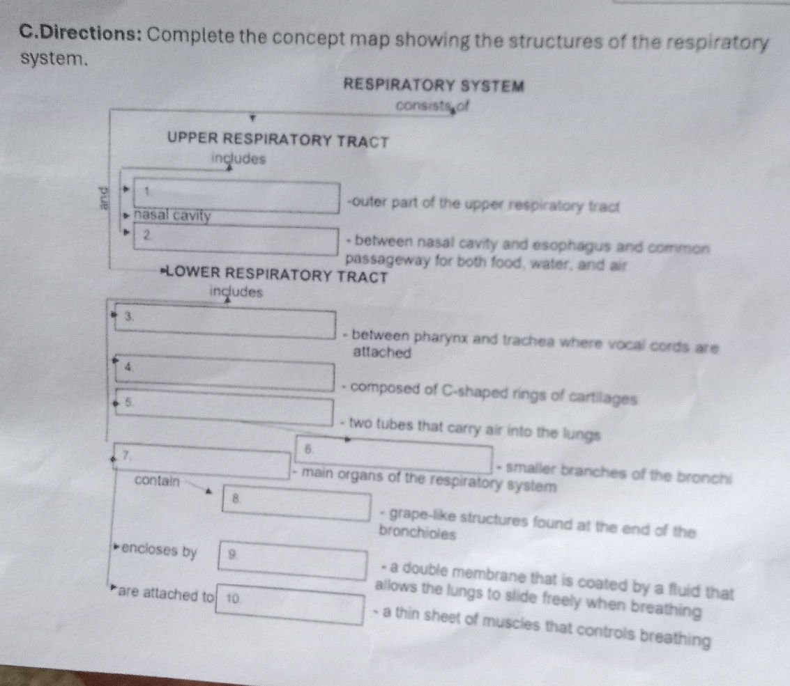 C.Directions: Complete the concept map | StudyX