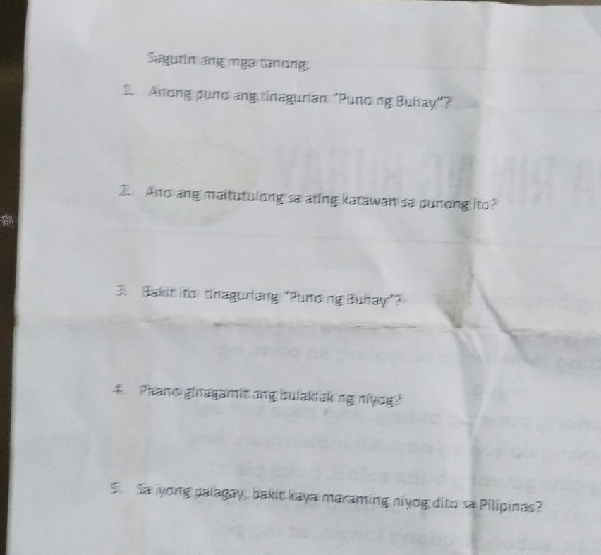 Sagutin ang mga tanong. 1. Anong puno ang | StudyX