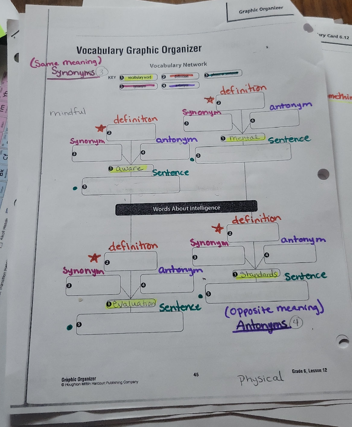 ## Vocabulary Graphic Organizer | StudyX