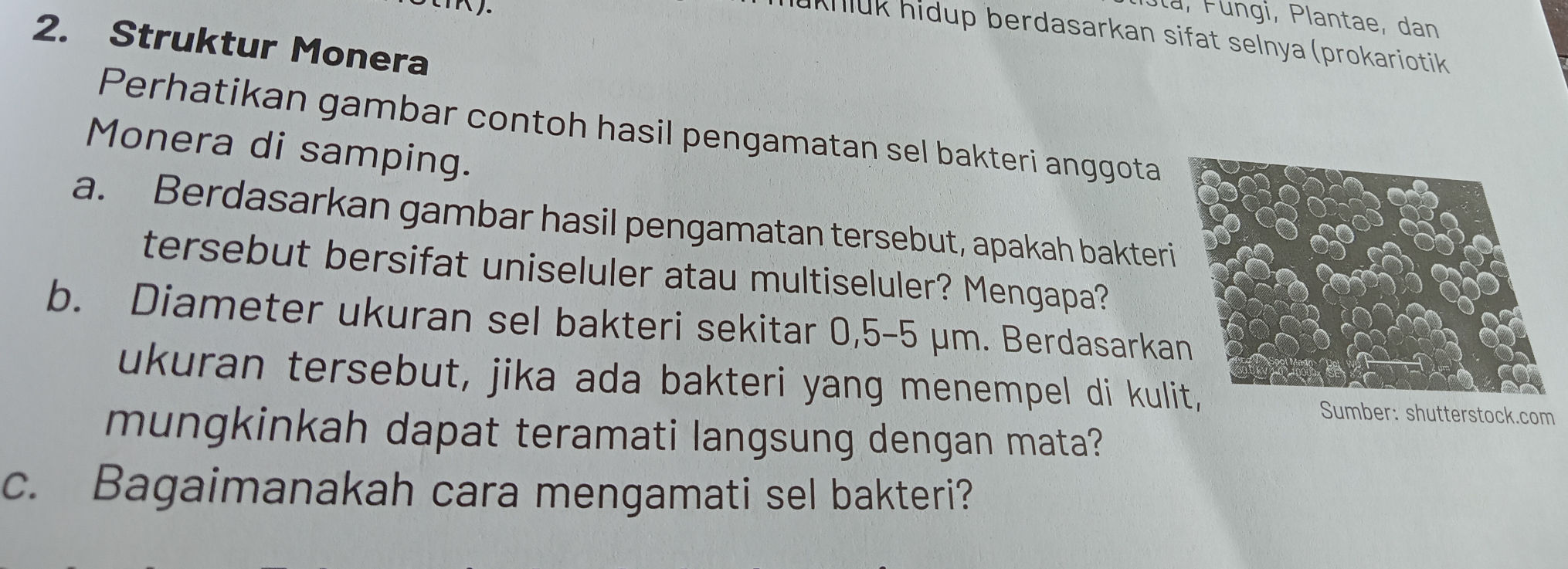Struktur Monera Perhatikan gambar contoh | StudyX