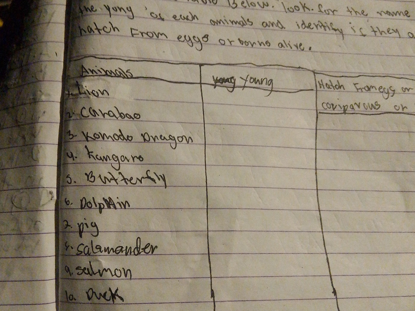 Look for the name of each animal and | StudyX