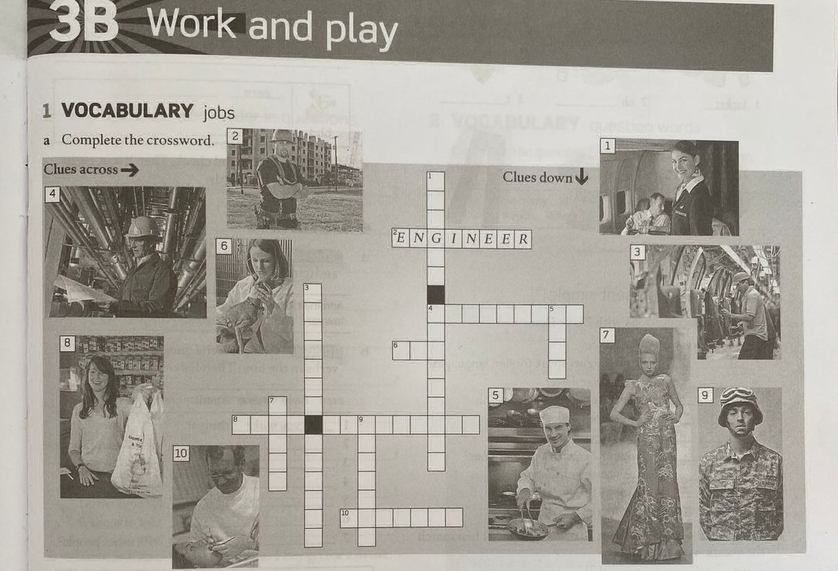 1 VOCABULARY jobs a Complete the crossword. | StudyX