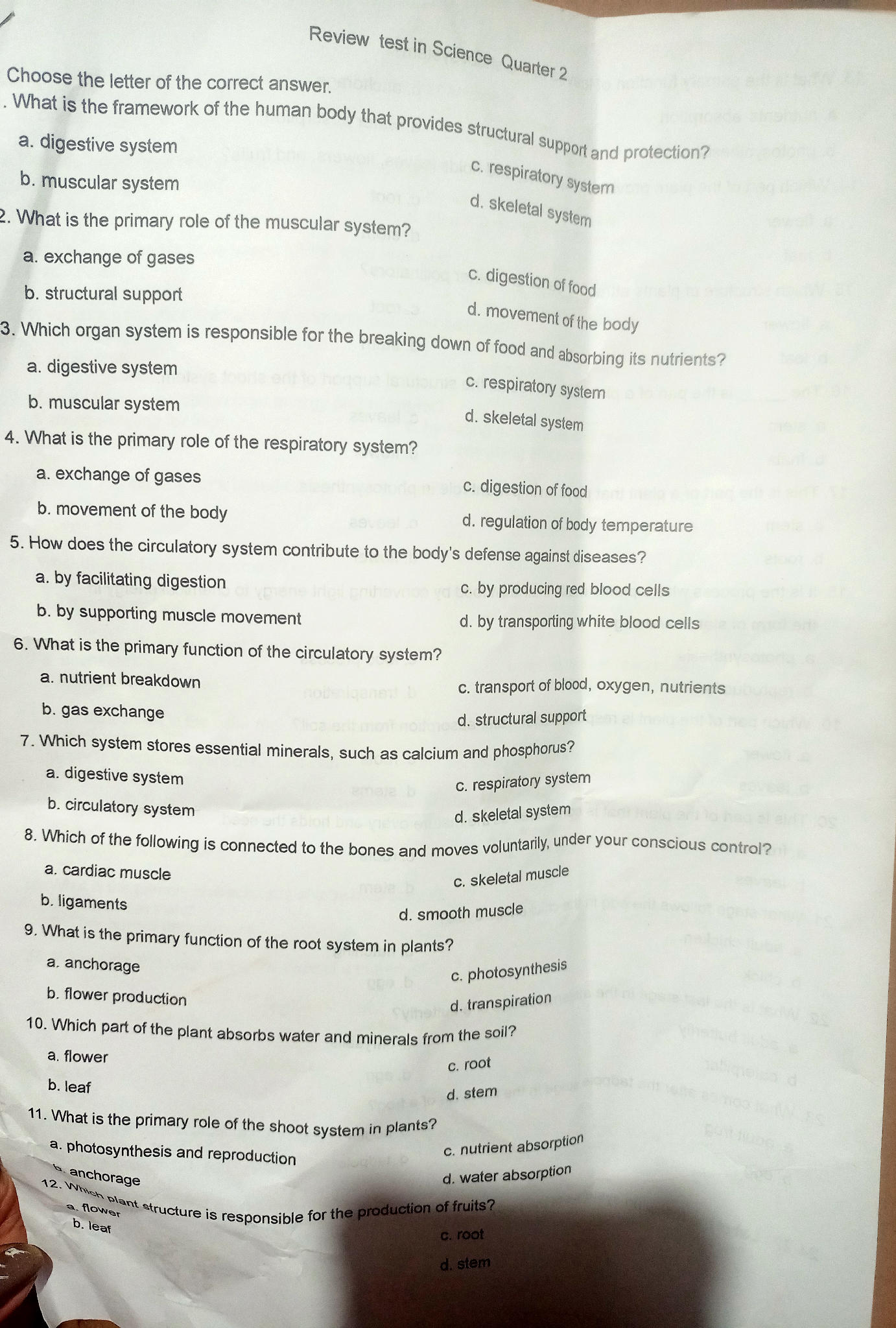 11. What is the primary role of the shoot | StudyX