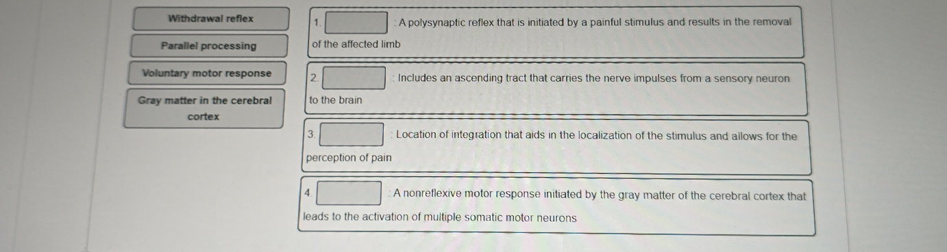 Withdrawal reflex Parallel processing | StudyX