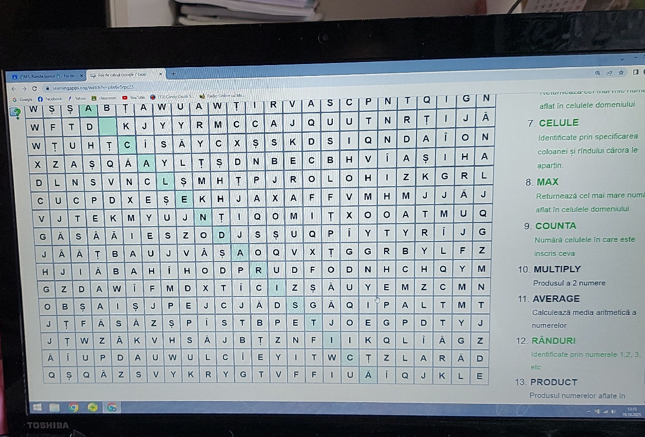 Word Search Puzzle (Romanian terms related | StudyX