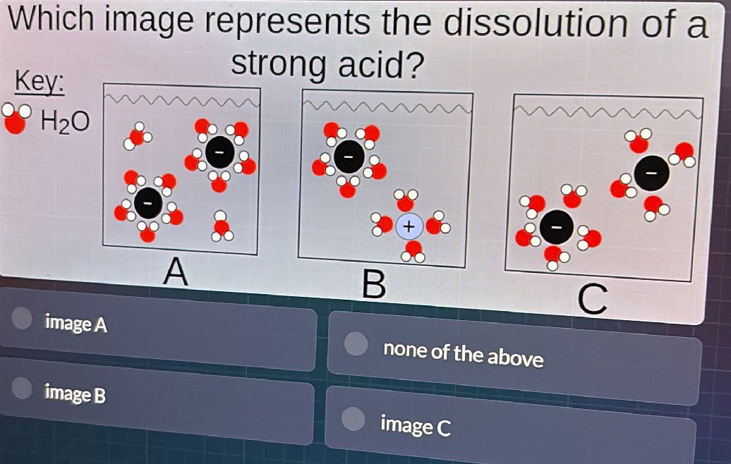 Which image represents the dissolution of a | StudyX