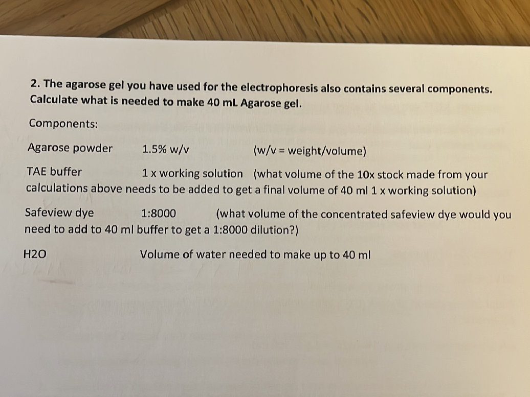 2. The agarose gel you have used for the | StudyX
