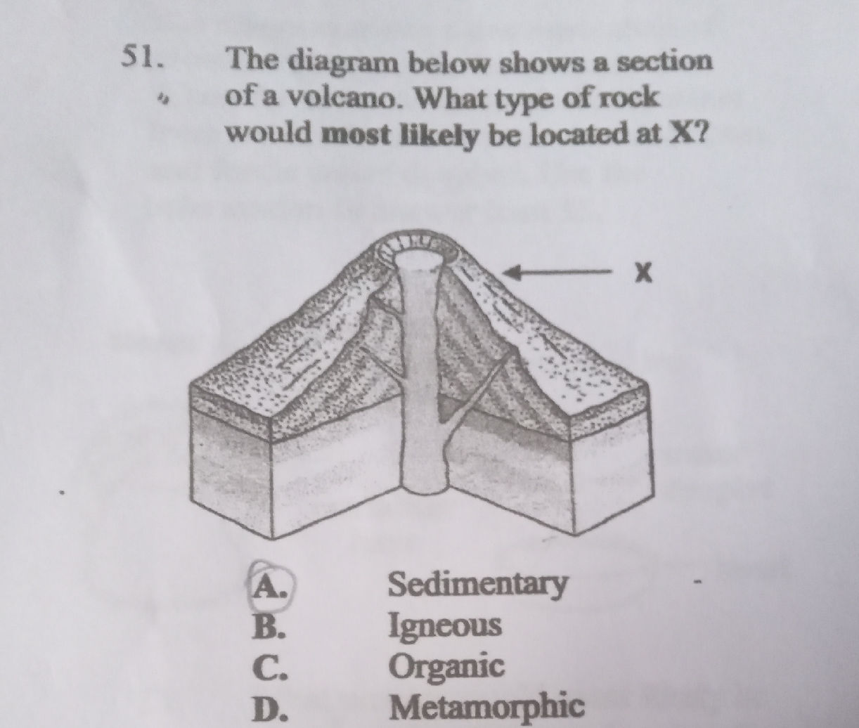 The diagram below shows a section of a | StudyX