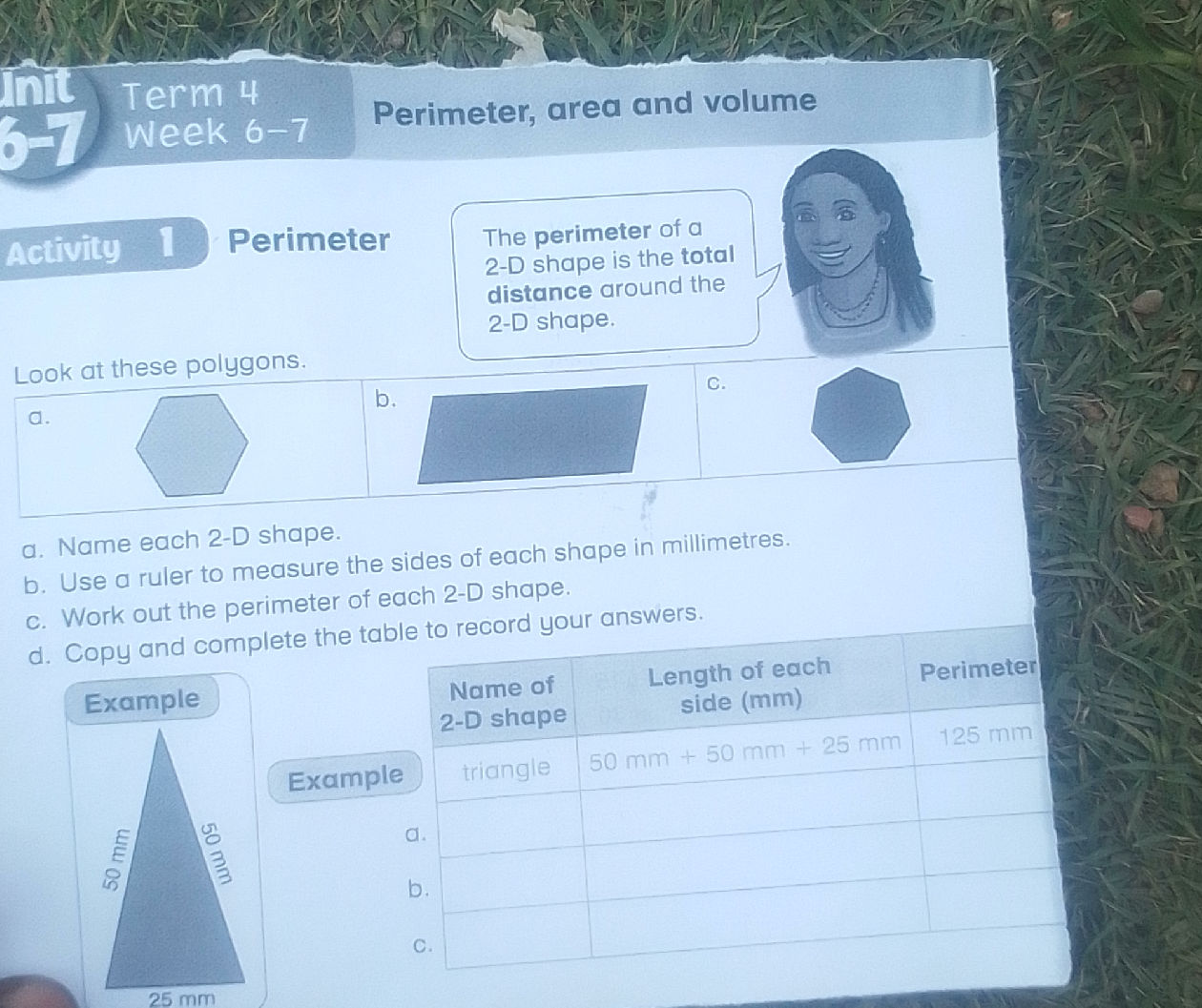 Term 4 Week 6–7 Activity 1 Perimeter The | StudyX