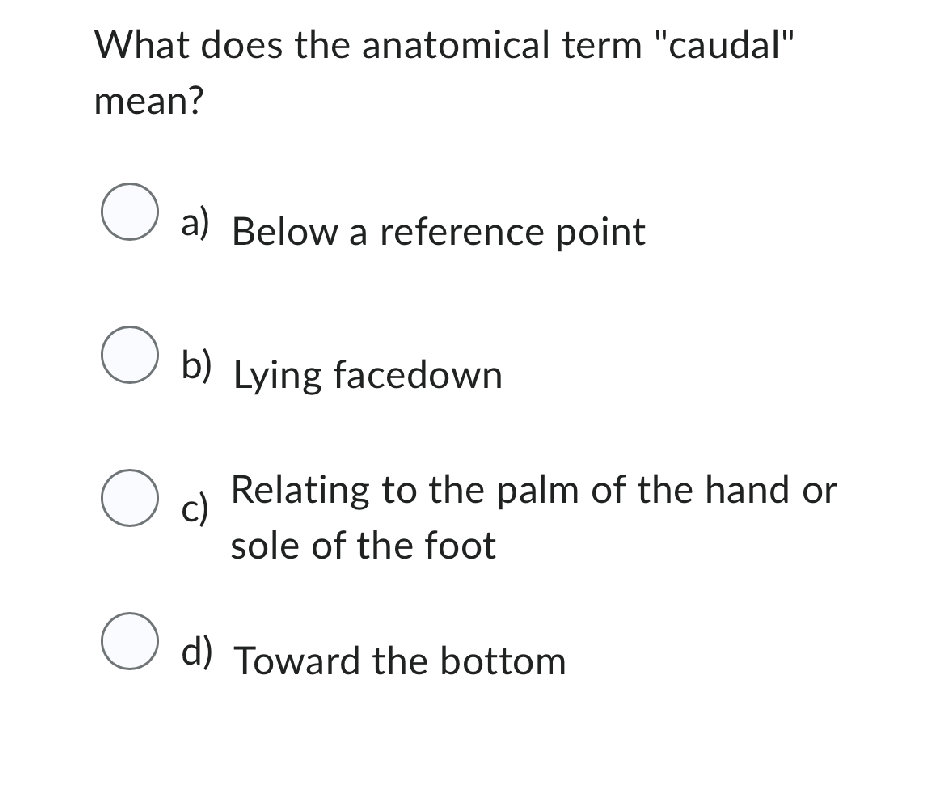 What does the anatomical term "caudal" mean? | StudyX