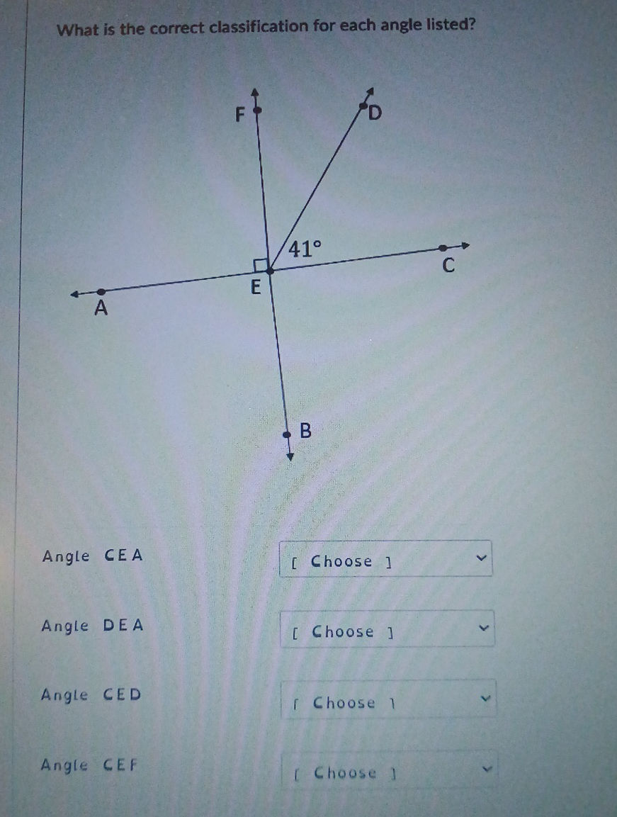 What is the correct classification for each | StudyX