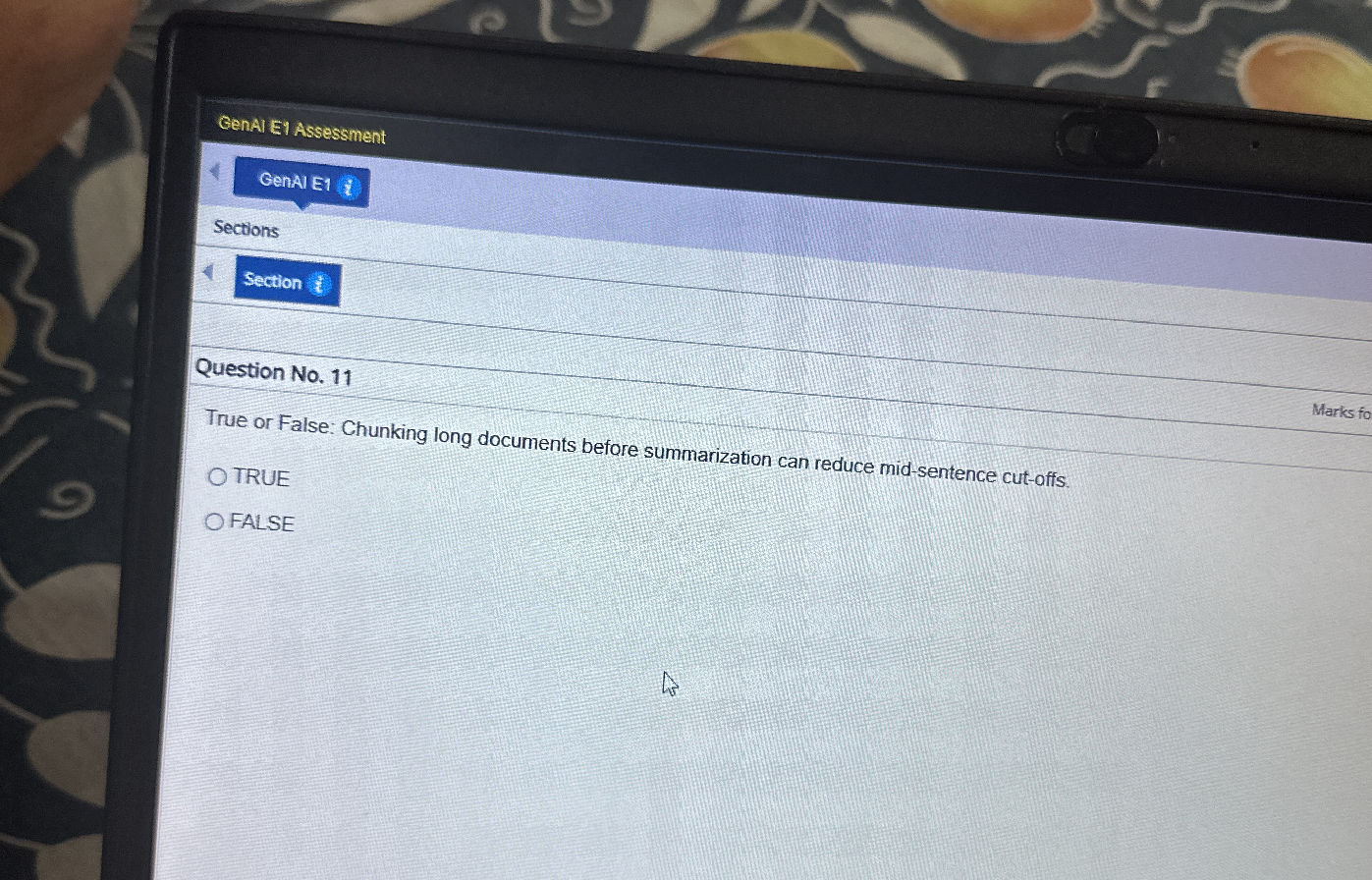 True or False: Chunking long documents | StudyX