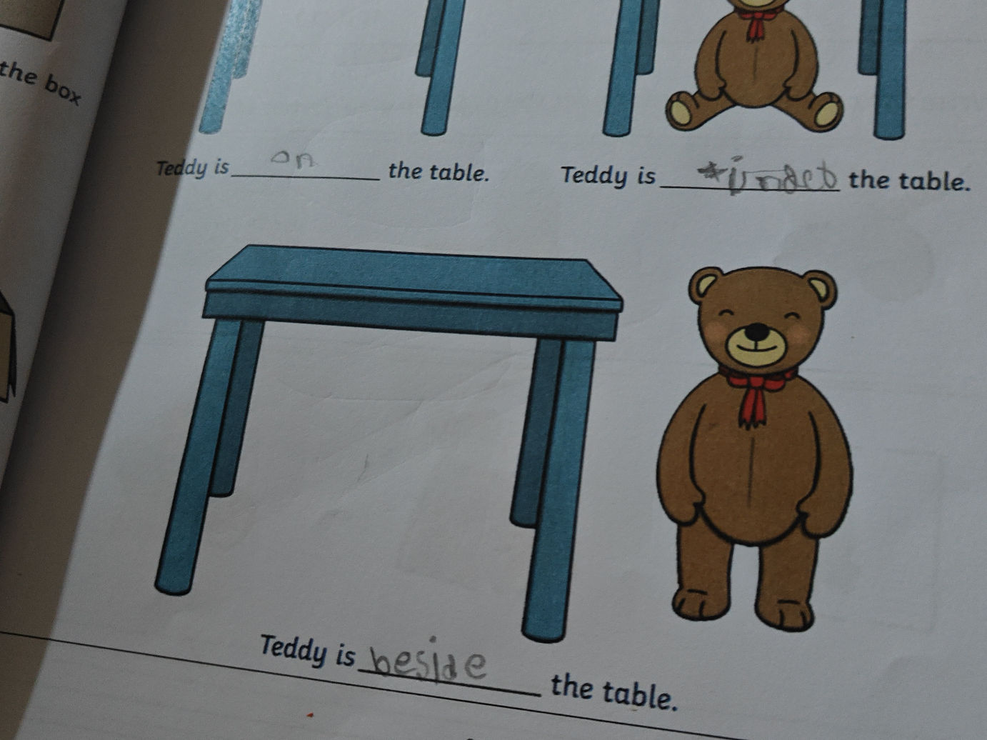 Teddy is on the table. Teddy is under the | StudyX
